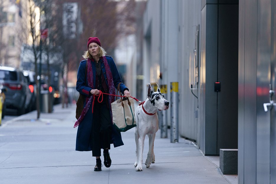 The Friend (2024) | ČSFD.cz