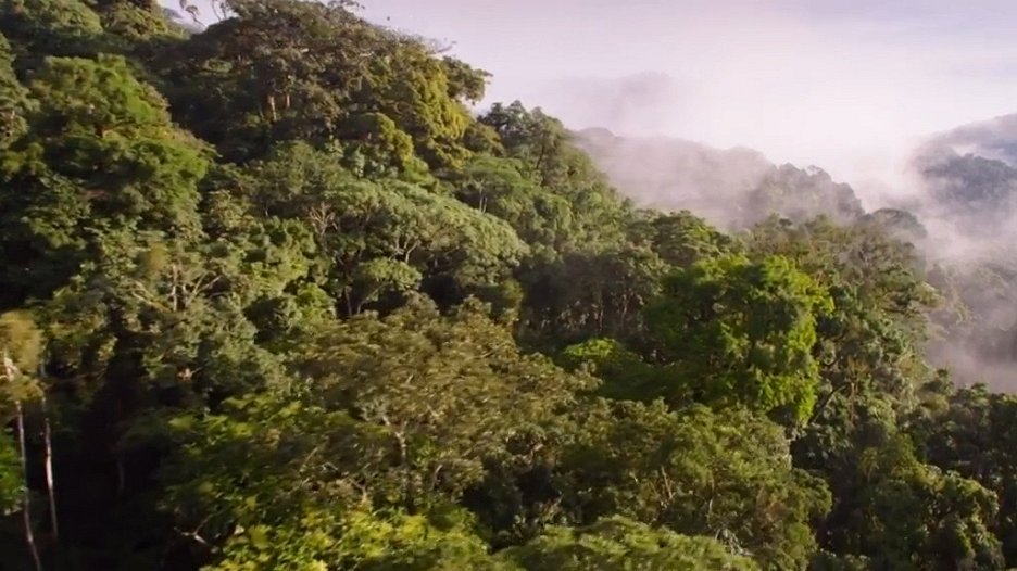 Incredible Predators 3D (2016) | ČSFD.cz