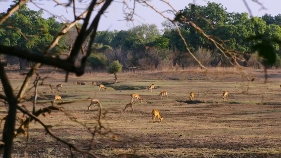 Incredible Predators 3D (2016) | ČSFD.cz