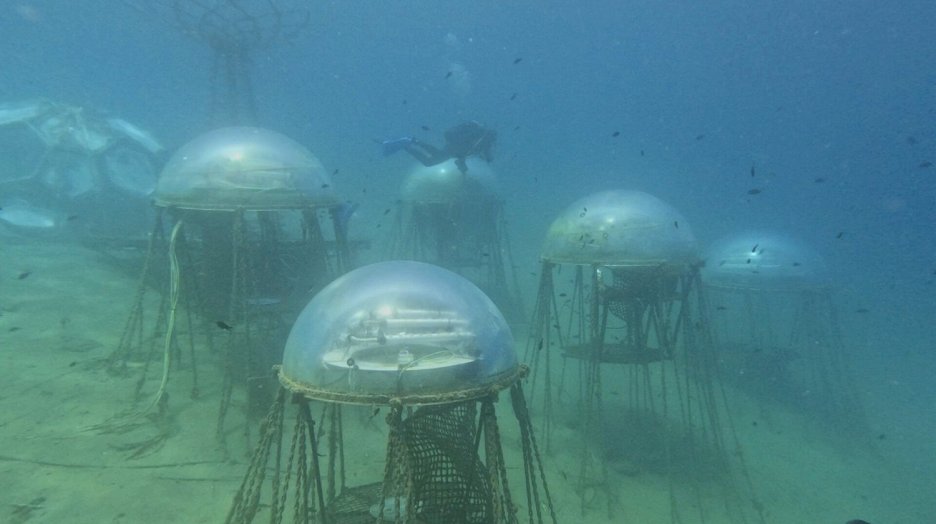 Notre avenir est-il sur l'eau ? (2024) | ČSFD.cz