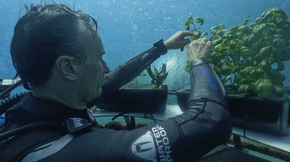 Notre avenir est-il sur l'eau ? (2024) | ČSFD.cz