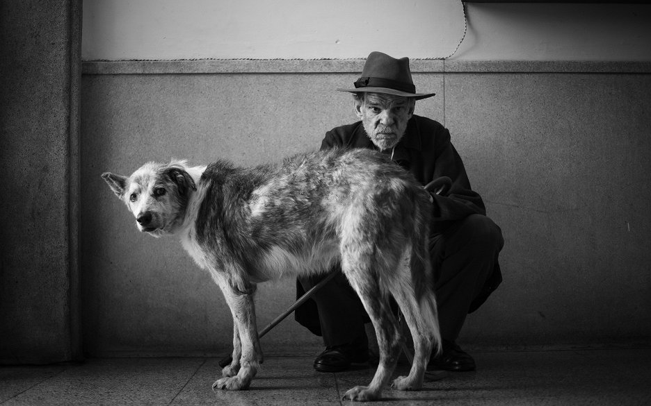 El extranjero (2025) | ČSFD.cz