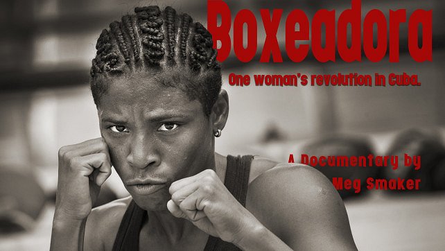 Boxer (2015) | ČSFD.cz