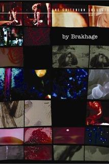 Mothlight (1963) | ČSFD.cz