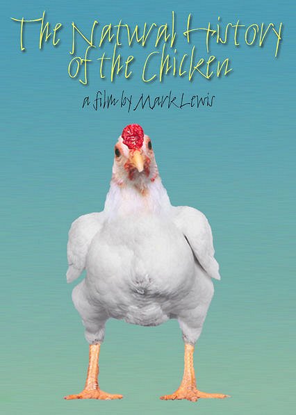 The Natural History of the Chicken (2000) | ČSFD.cz