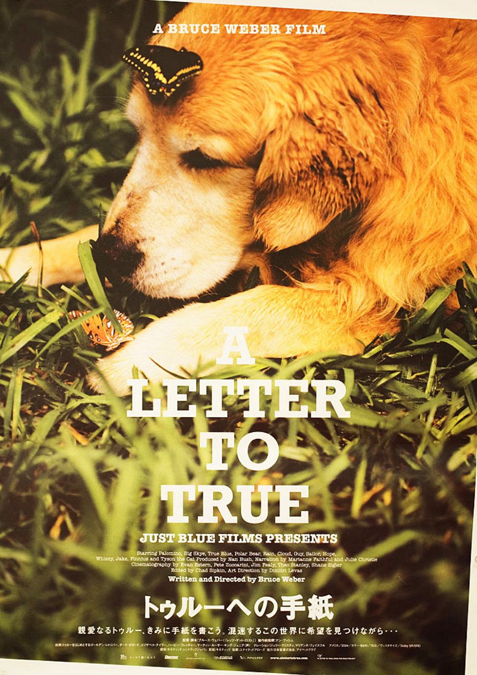 A Letter to True (2004) | ČSFD.cz