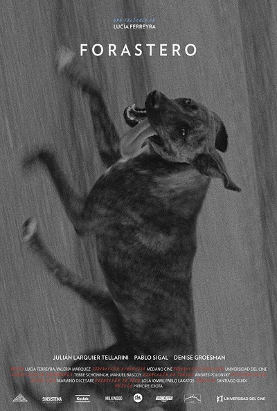 Forastero (2013) | ČSFD.cz