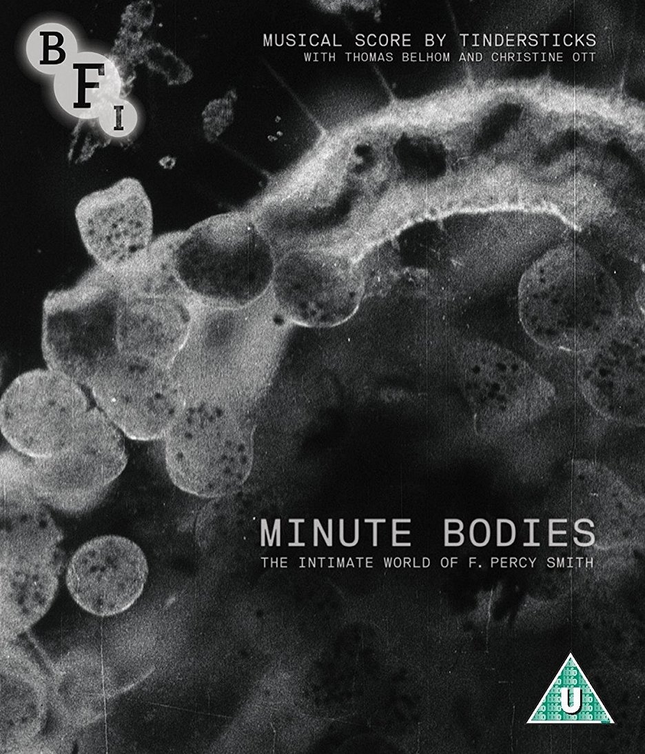 Intimní svět F. Percy Smithe (2016) | ČSFD.cz