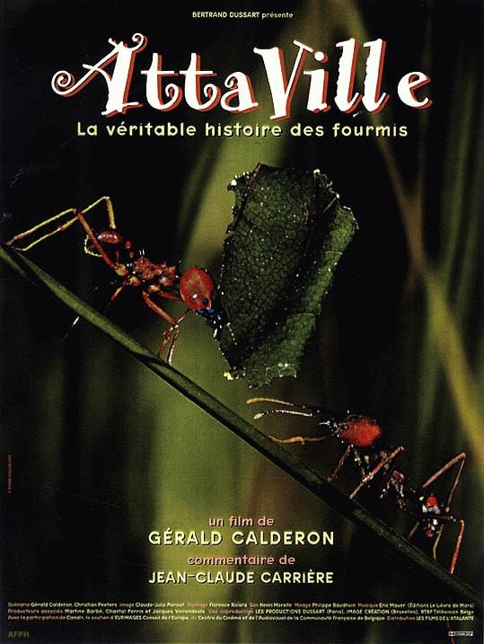 Attaville, la véritable histoire des fourmis (1998) | ČSFD.cz
