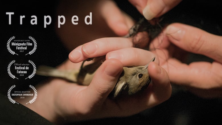 Trapped (2017) | ČSFD.cz