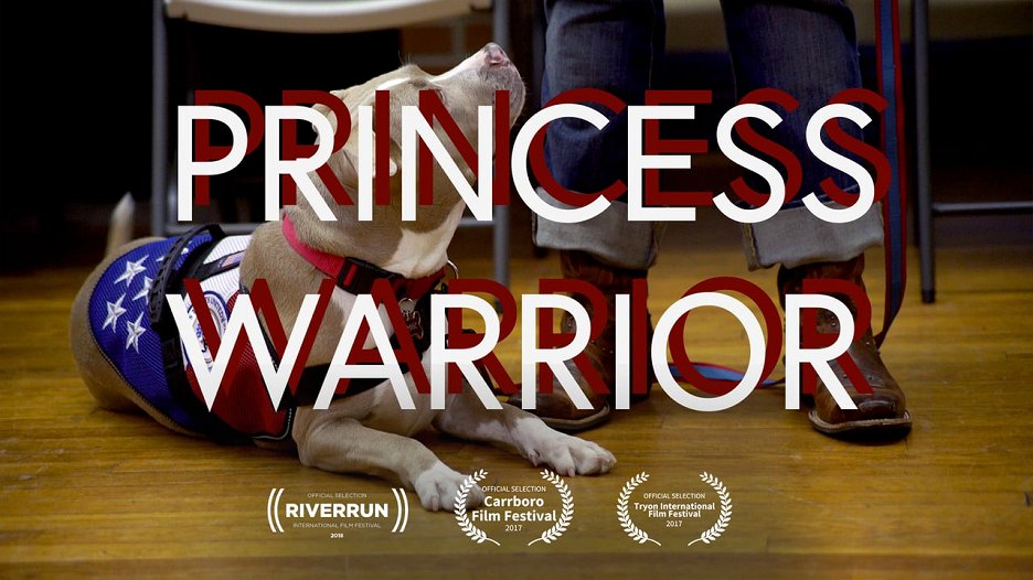 Princess Warrior (2017) | ČSFD.cz