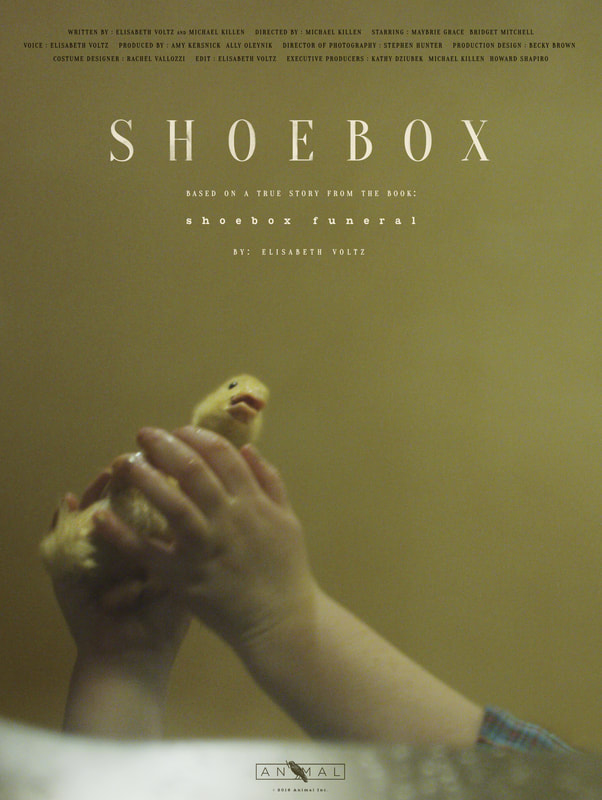 Shoebox (2018) | ČSFD.cz
