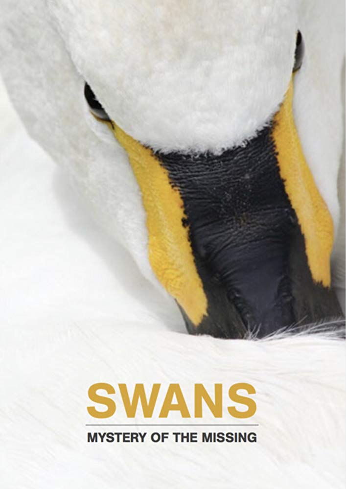 Swans: Mystery of the Missing (2019) | ČSFD.cz