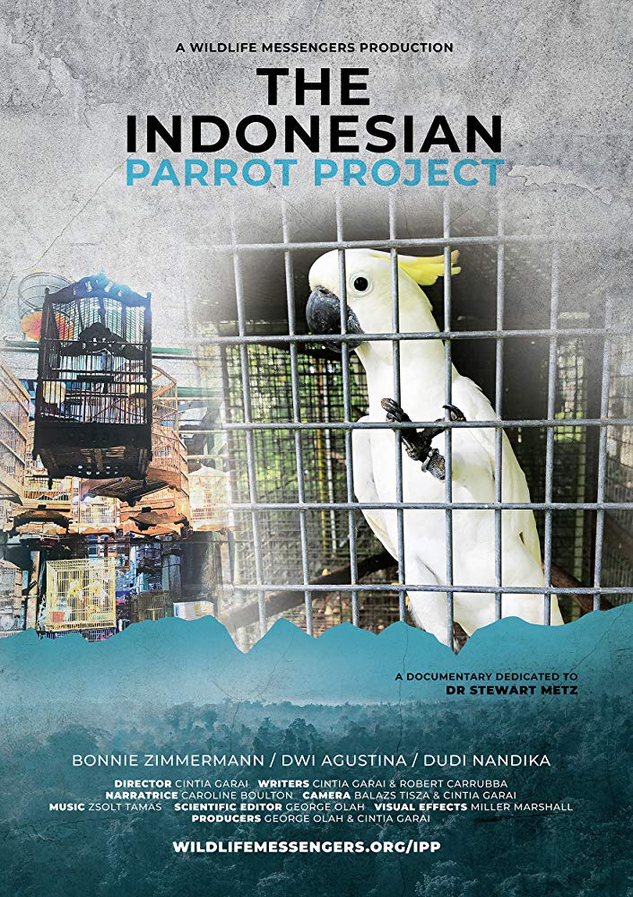 The Indonesian Parrot Project (2019) | ČSFD.cz