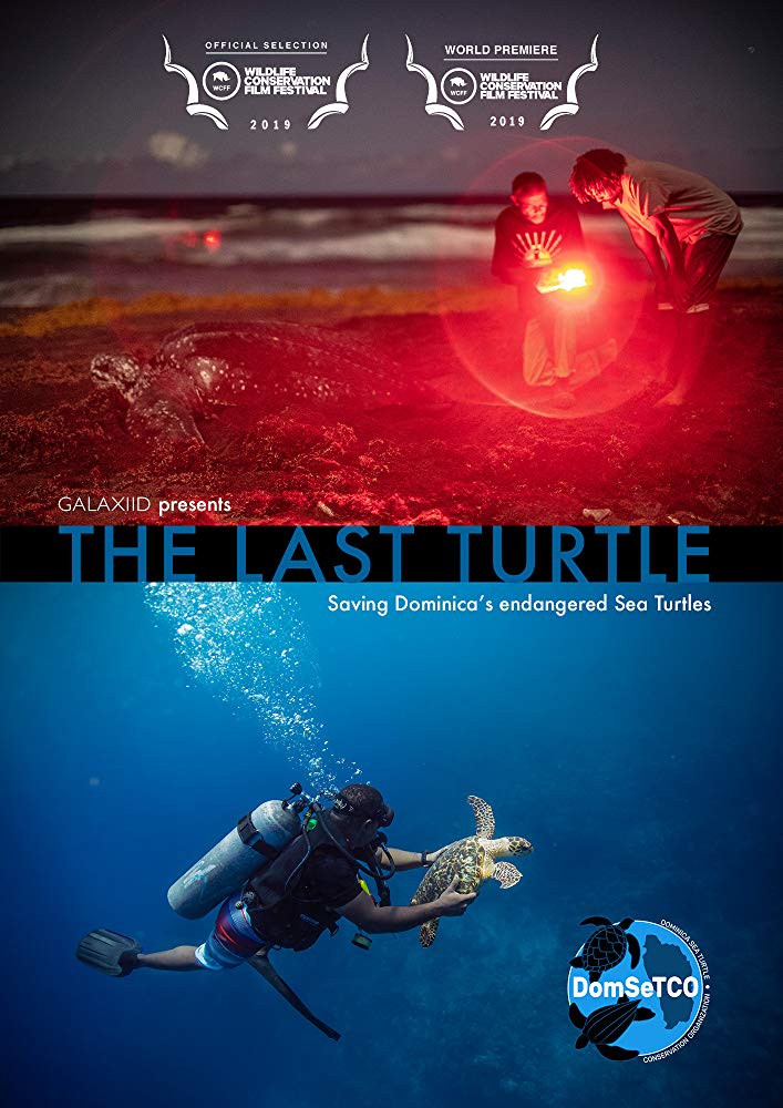 The Last Turtle (2019) | ČSFD.cz