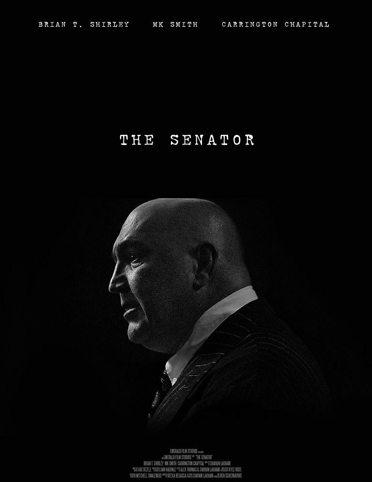 The Senator (2018) | ČSFD.cz