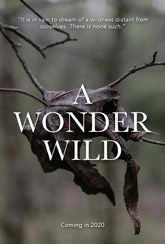 A Wonder Wild (2020) | ČSFD.cz