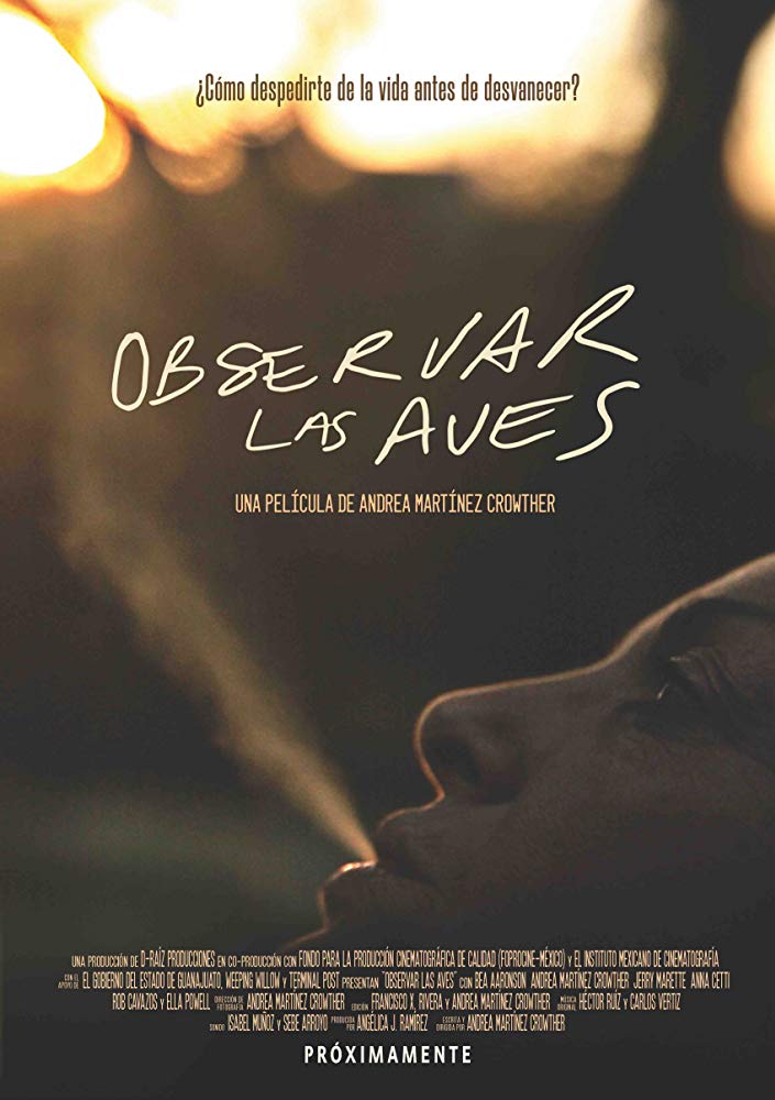 Observar las aves (2019) | ČSFD.cz