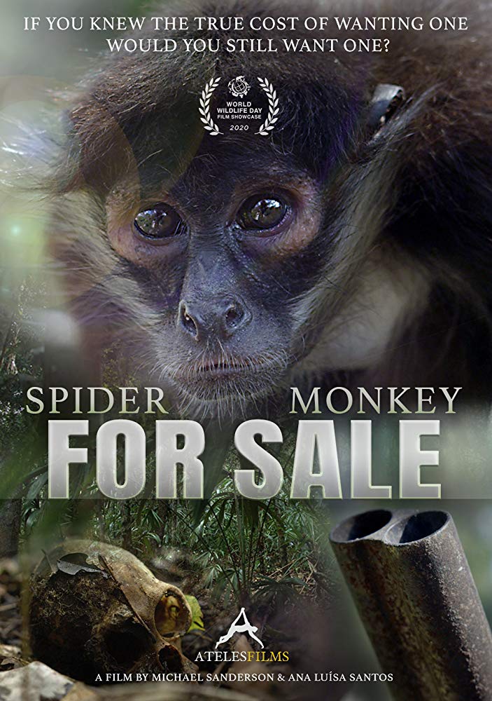 Spider Monkey for Sale (2020) | ČSFD.cz