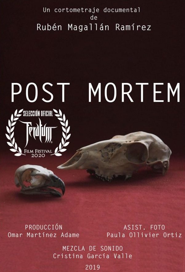 Post Mortem (2019) | ČSFD.cz