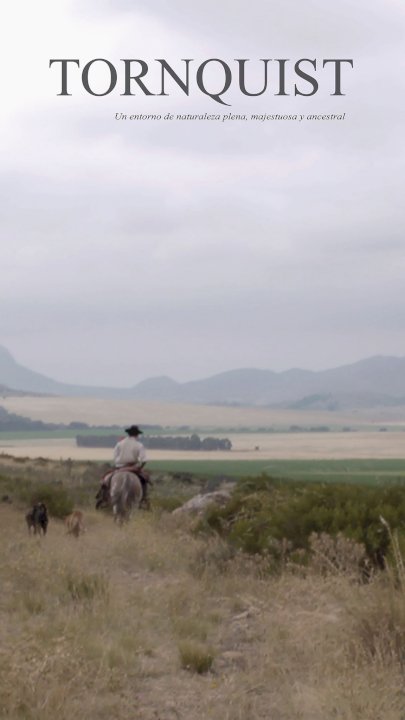 Tornquist (2021) | ČSFD.cz