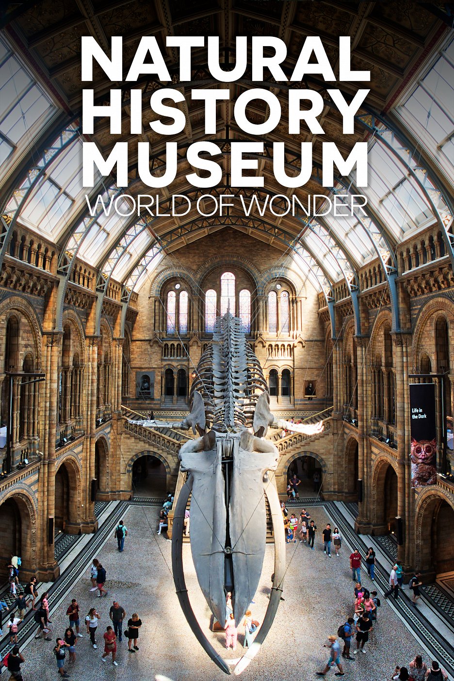 Natural History Museum: World of Wonder (2021) | ČSFD.cz