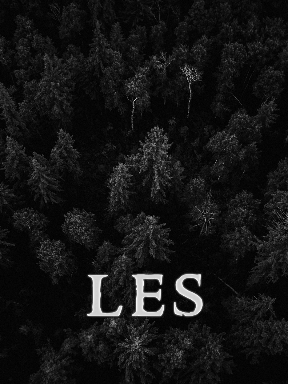 Les (2021) | ČSFD.sk