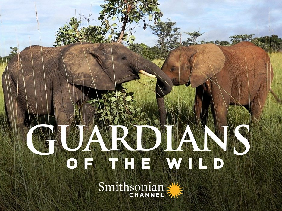 Guardians of the Wild (2017) | ČSFD.cz