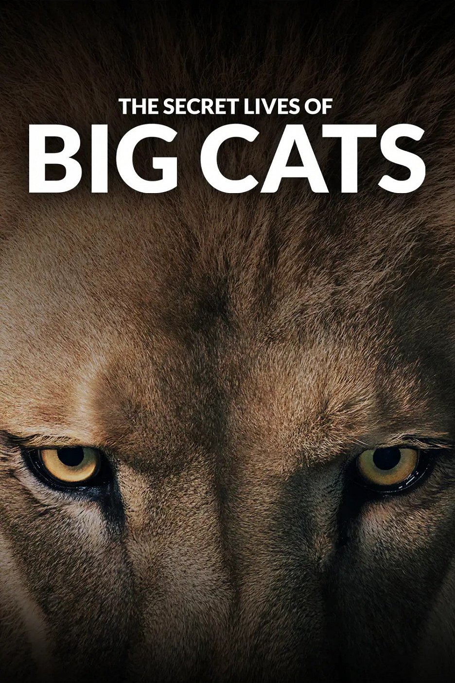 The Secret Lives of Big Cats (2020) | ČSFD.cz