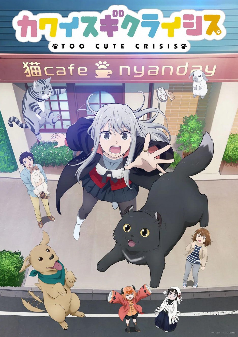 Kawaisugi Crisis (2023) | ČSFD.cz