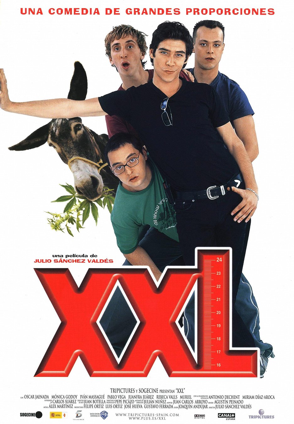 XXL (2004) | ČSFD.cz