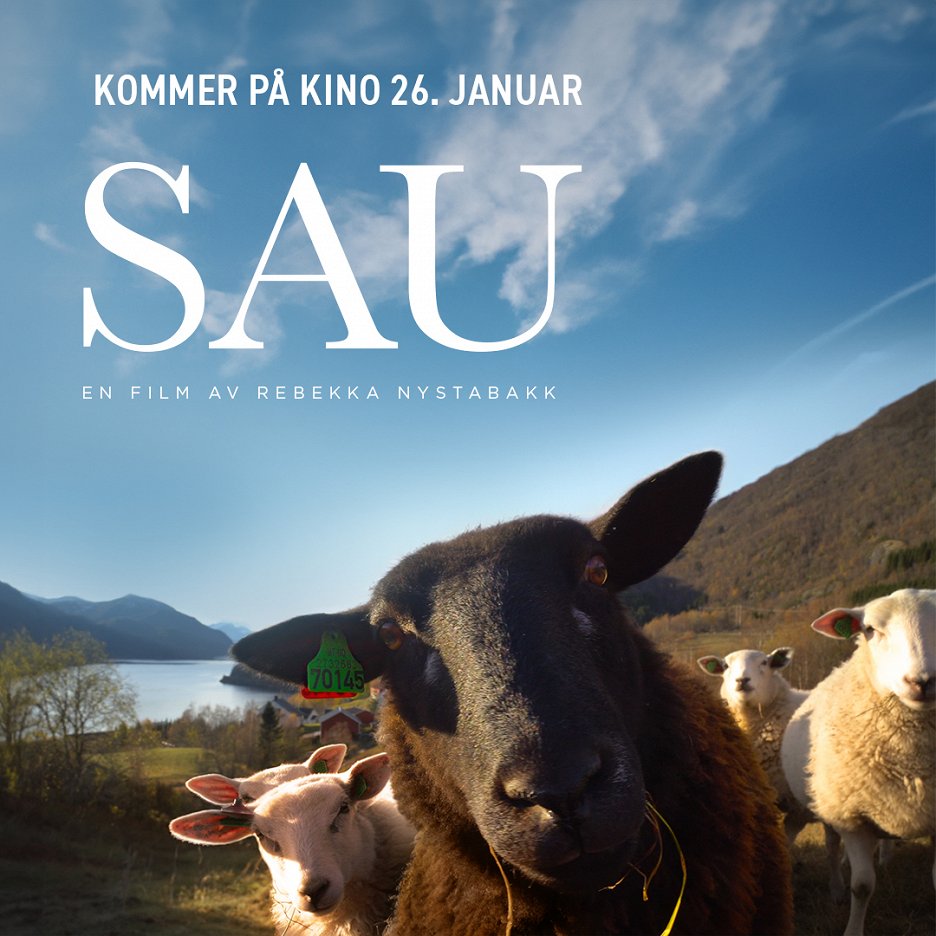 Sau (2024) | ČSFD.cz