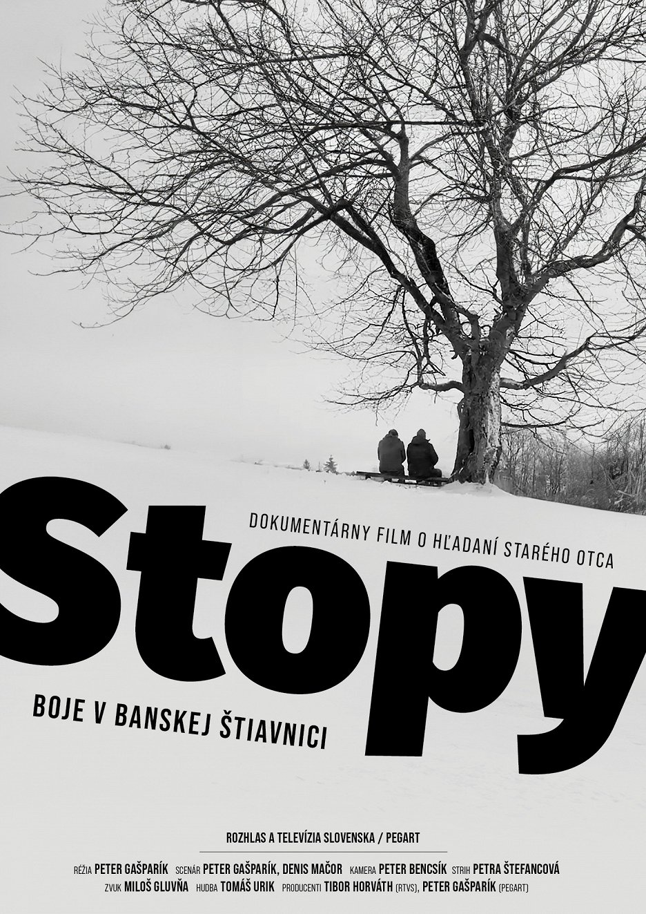 Stopy - boje v Banskej Štiavnici (2023) | ČSFD.cz