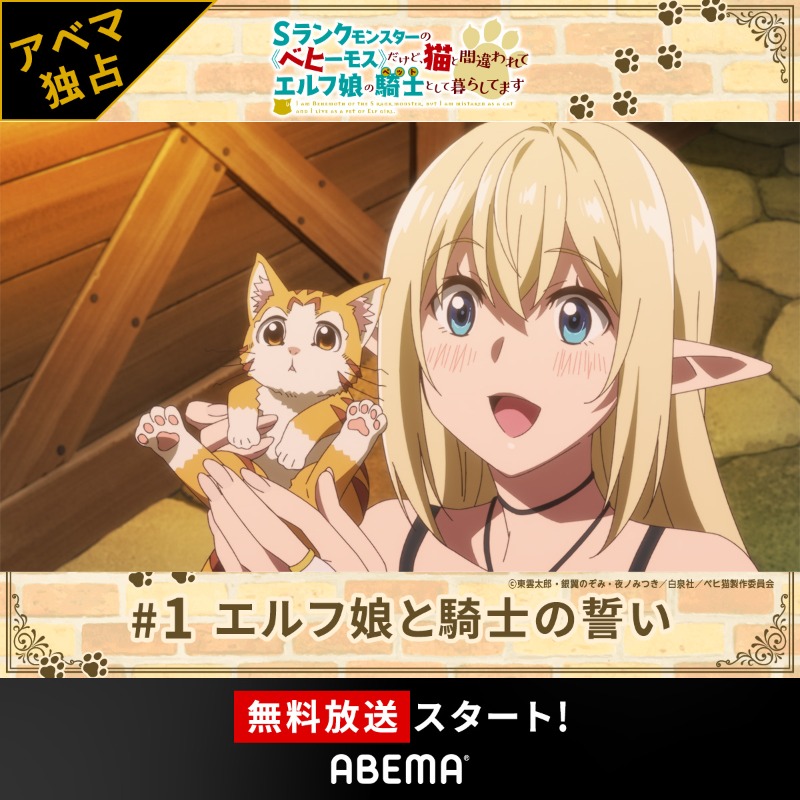 S rank monster no "Behemoth" dakedo, neko to mačigawarete elf musume no ...