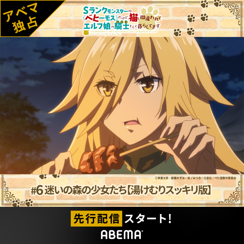 S rank monster no "Behemoth" dakedo, neko to mačigawarete elf musume no ...