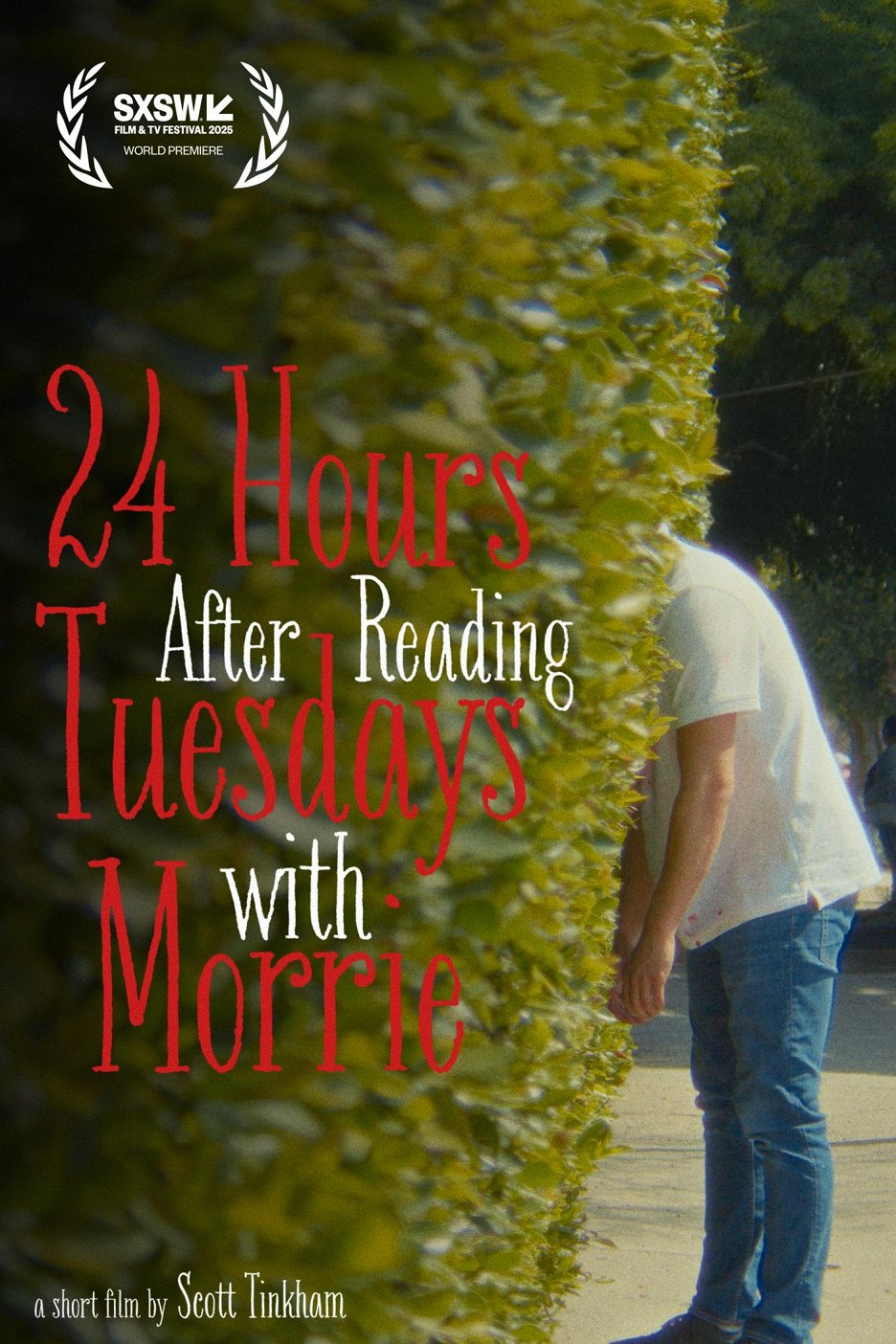 24 Hours After Reading Tuesdays with Morrie (2025) | Galerie - Plakáty ...