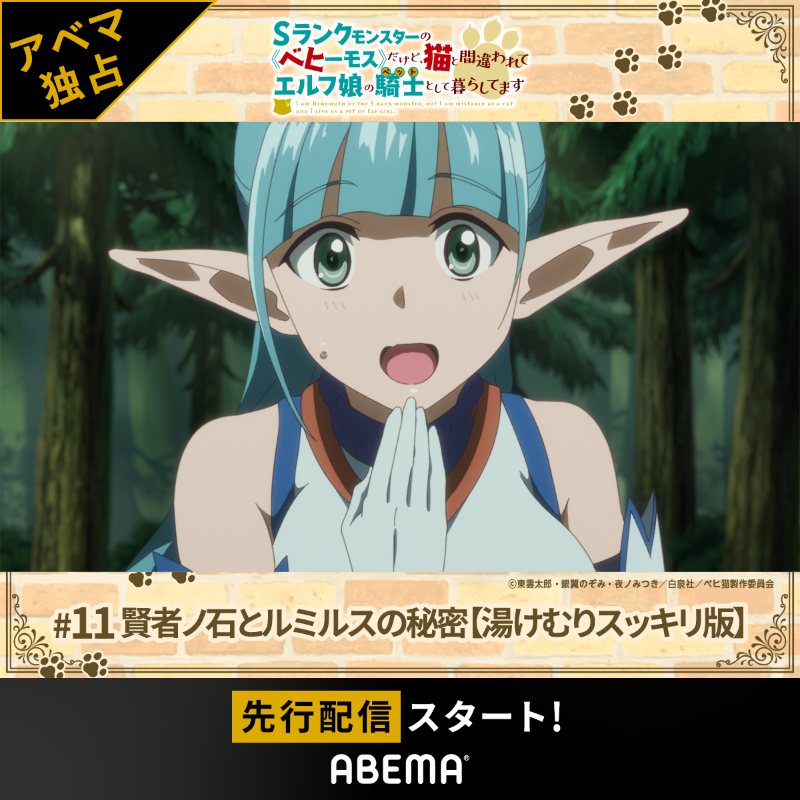 Beheneko: The Elf-Girl's Cat is Secretly an S-Ranked Monster - The ...