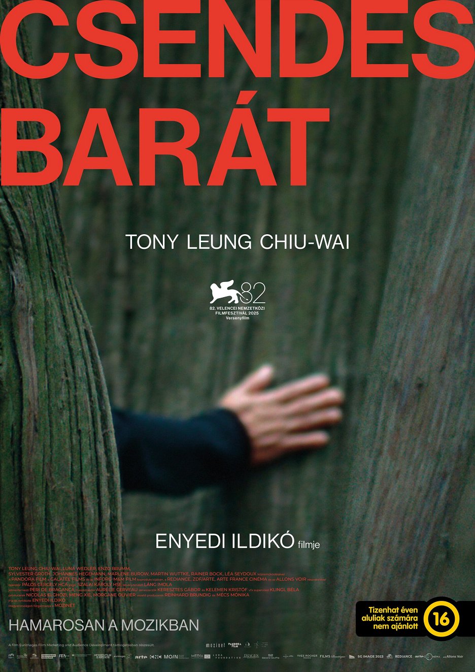 Stille Freundin (2025) | ČSFD.cz