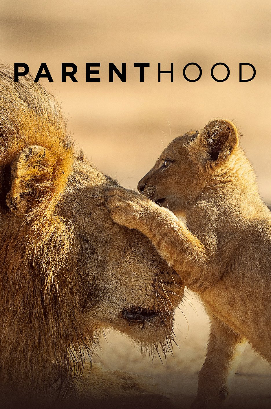 Parenthood (2025) | ČSFD.cz