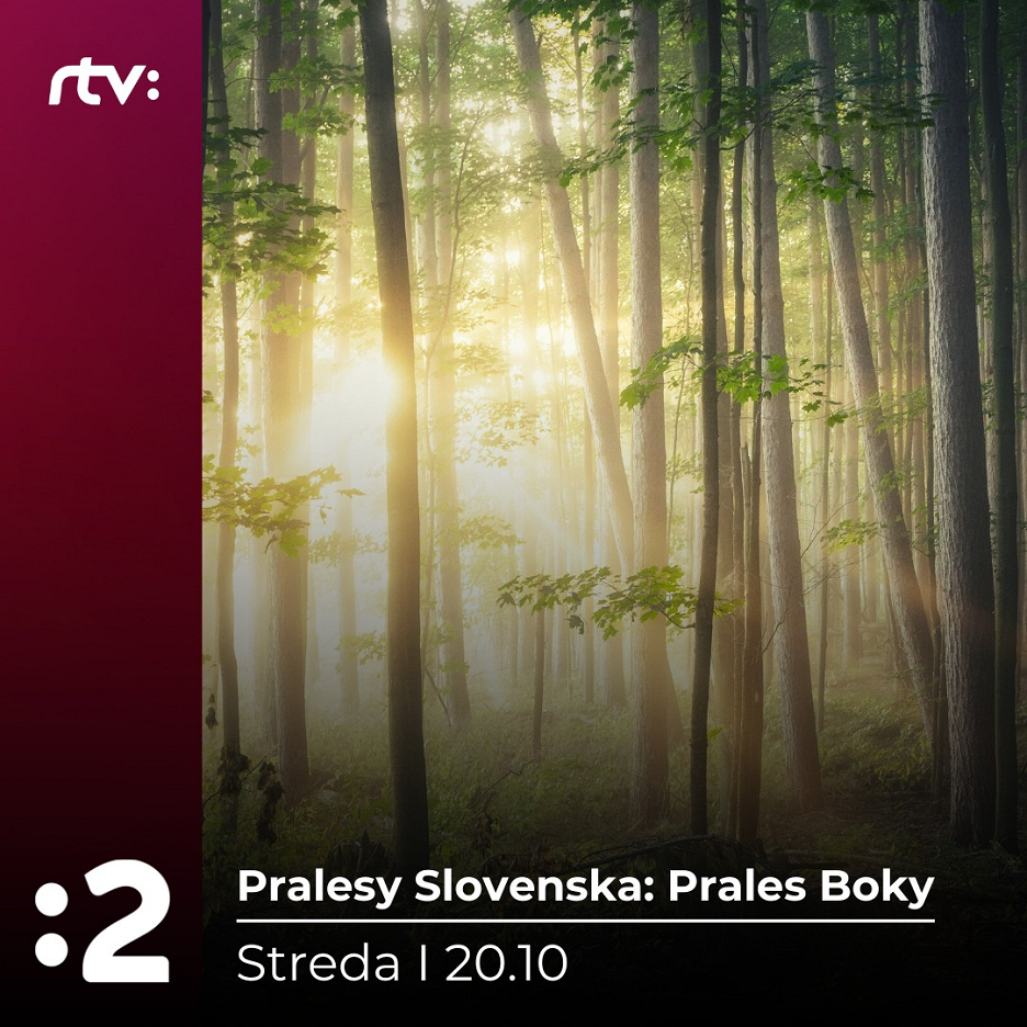 Pralesy Slovenska - Prales Boky (E03) (2022) | ČSFD.cz