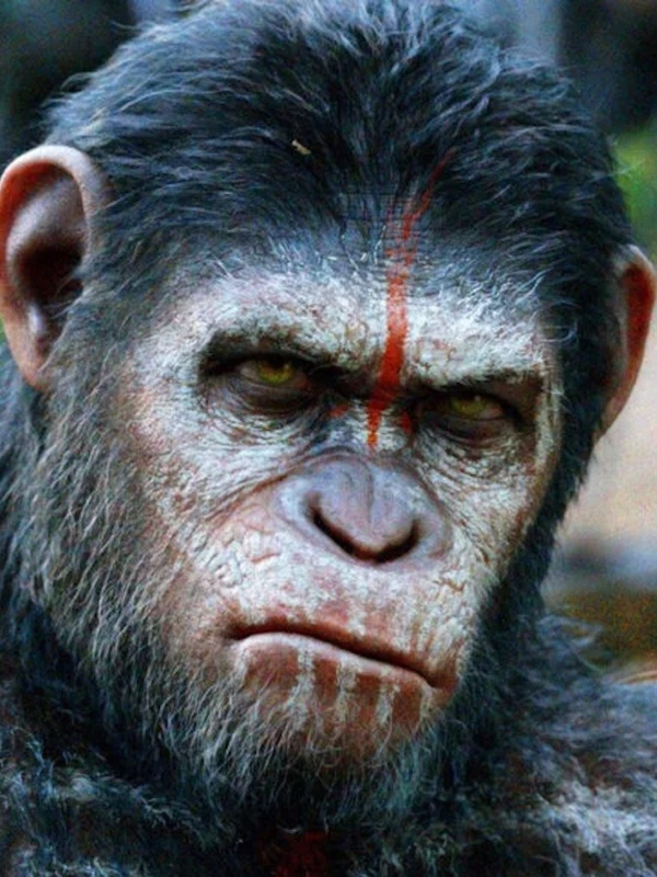 Nová Planeta opic našla hlavní hvězdu | Novinky | ČSFD.sk