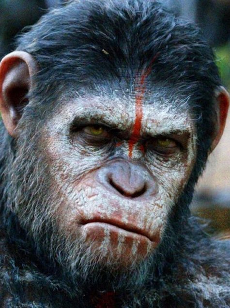 Nová Planeta opic našla hlavní hvězdu | Novinky | ČSFD.sk